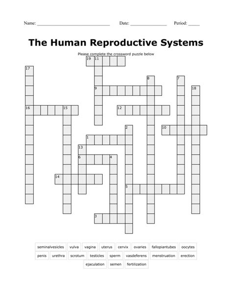 Reproductive System Word Search