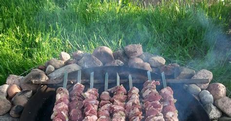 Mamukynas Šašlykai marinuoti su kiviu