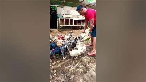 Buko Coconut Niyog Subscribe My Friend Subscribers Youtube