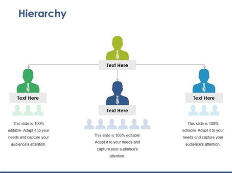 Hierarchy Ppt Powerpoint Presentation Icon Graphics Download