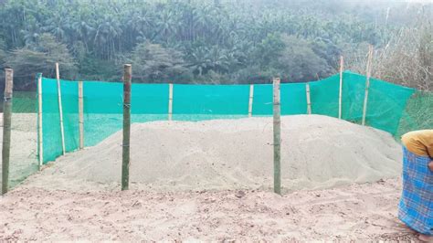 Wild Cam Building A Community Of Turtle Conservationists In Kerala