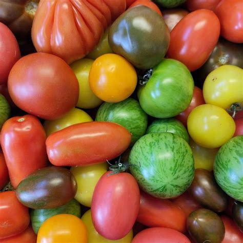 Sarah Barrass On Linkedin Absolutely Loved My Tomatoes Made A Simple