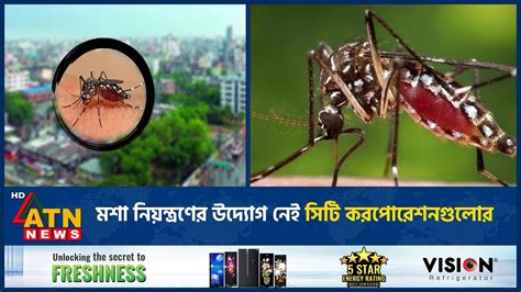 মশা নিয়ন্ত্রণের উদ্যোগ নেই সিটি করপোরেশনগুলোর Mosquito Control