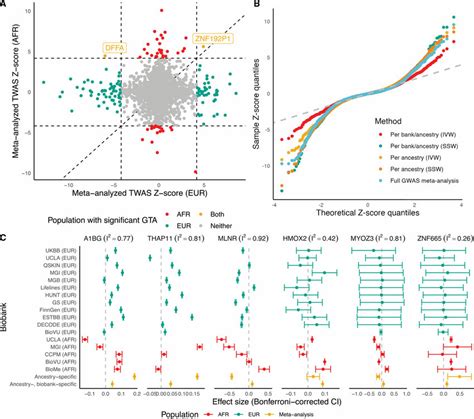 Comparison Of Meta Analytic Strategies For Multi Biobank Download Scientific Diagram