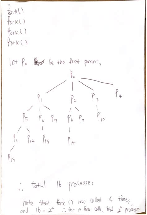 C How Many Process Are Created By A Program That Calls Fork In A Loop With N Iterations