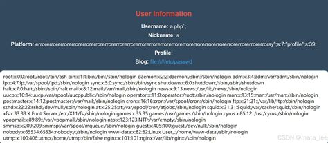 2024年nssctf秋季招新赛（校外赛道）wp Swpuctf 2024 秋季新生赛 未选择的路 Csdn博客