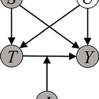 Illustration Of The Basic Concepts In Causal Inference The Gray