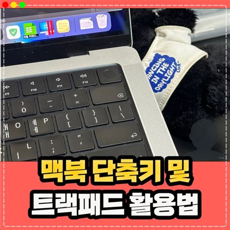 맥북 단축키 및 트랙패드 사용법 캡쳐 스크린샷 화면 녹화 Delete 한영전환 등 네이버 블로그