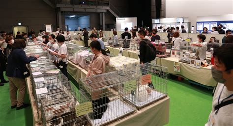 「パナソニック保護犬猫譲渡会2023」が終了 ご来場、ご協力ありがとうございました 「犬や猫ともっと幸せに」をコンセプトにしたweb