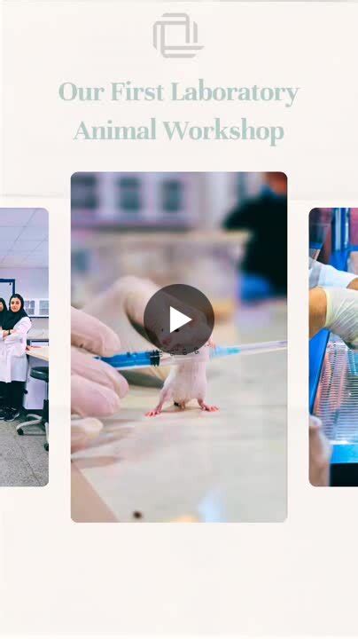 از اینکه در کنار اهداف اصلی کوآدسل، امکان برگزاری کارگاه‌هایی جهت تقویت مهارت‌های عملی دانشجویان