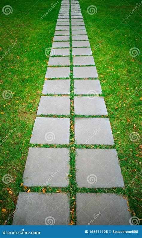Vertical Concrete Path Surrounded By Green Grass Texture Background