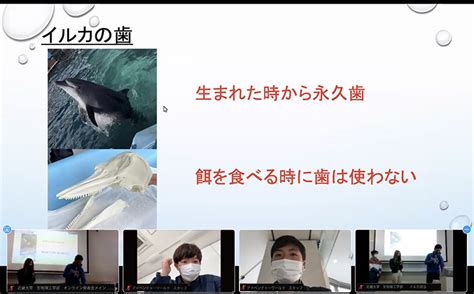 近畿大学生物理工学部の皆様との連携授業を実施しました！｜トピックス｜アドベンチャーワールド