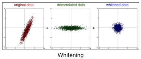 Normalization And Whitening