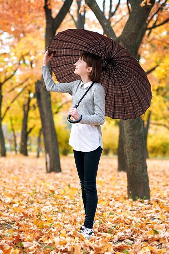 가 공원에서 포즈 우산 십 대 소녀입니다 밝은 노란색 잎과 나무입니다 가을에 대한 스톡 사진 및 기타 이미지 가을 소녀