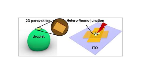 Surface Tension Dominant Crystallization Of 2d Perovskite Single Crystals For Vertically