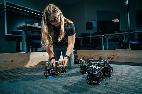 learning from ants to make networks safer
