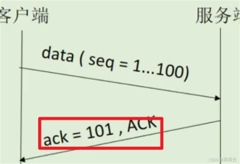 【计算机网络】tcp协议特点1 Csdn博客