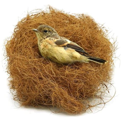 Natural Nesting Material For Birds Parrots Finches By Vintgold
