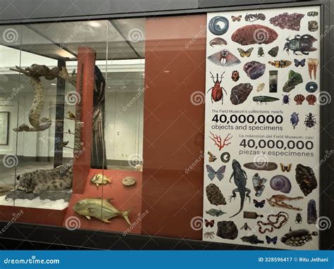 Exhibit At The Field Museum In Chicago Illinois Editorial Photography