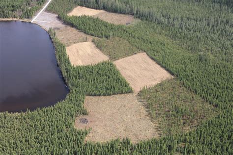 Fire And Ecosystems Research Lab