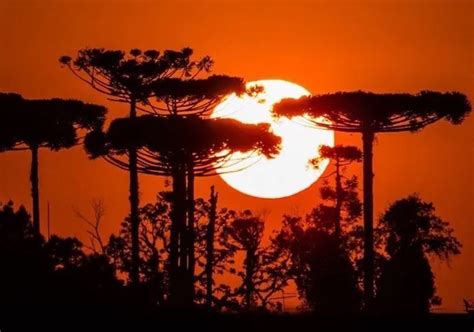 Inmet Emite Alerta Para Onda De Calor Com Riscos à Saúde Em 289 Cidades