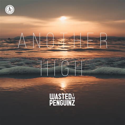 Another High Bypass Flip By Wasted Penguinz Free Download On Hypeddit