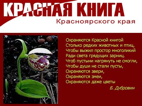 Про растения из Красной книги Красноярского края презентация онлайн