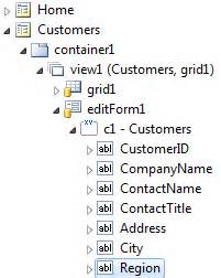 Code On Time Data Controllers Data Fields Read Only When