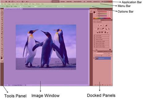 Photoshop Interface Explained Part 1 Photoshop Basics Photoshop Photoshop Tutorial