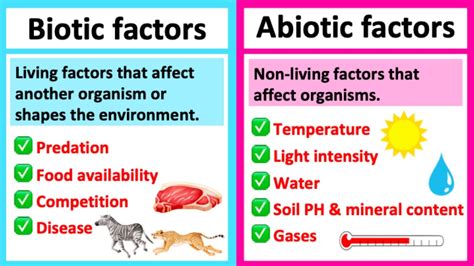 Biotic And Abiotic Environment