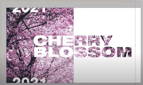 How To Scale And Resize An Image In Adobe Indesign Digital Tech And Productivity Tips