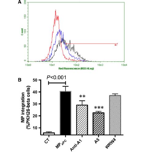Mechanism Of EMP APC Integration By B Cells B Cells Pre Incubated With Download Scientific