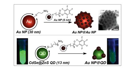 Pentafluorophenyl Ester Functionalized Nanoparticles As A Versatile