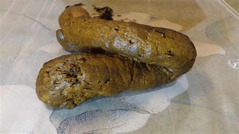 Big Brown Snake Turd Gay Scat Porn At Thisvid Tube