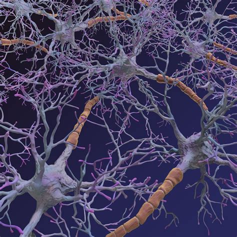 Neural Network 3d Model 119 C4d Ma Fbx Obj Free3d