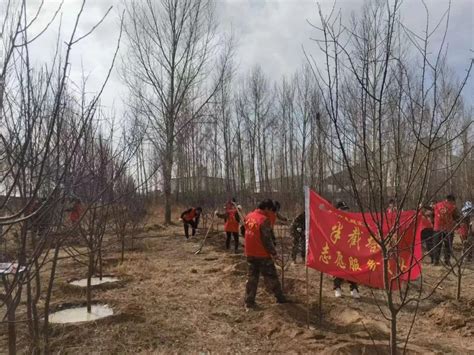围场满族蒙古族自治县人民政府 乡镇动态 撸起袖子加油干 风雨无阻向前行 半截塔镇：开展全民“添新绿”义务植树活动