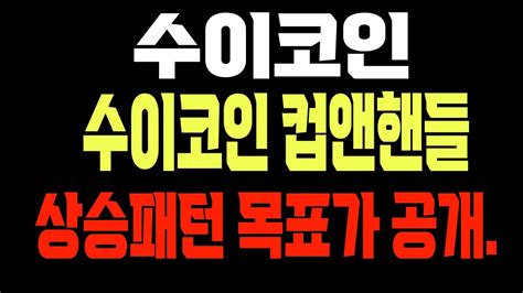 수이 코인 악재는 전부 해소되어서 호재가 되었습니다 Youtube