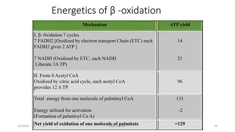 Saturated Fatty Acid β Oxidation Ppt