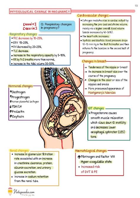 Obs Gyn Image Bank Notespaedia