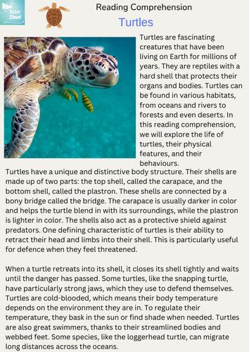 Turtles Reading Comprehension Worksheet Teaching Resources