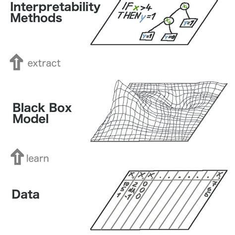 The Big Picture Of Explainable Machine Learning The Real World Goes Download Scientific