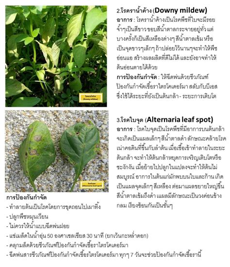 สำนักงานเกษตรและสหกรณ์ จังหวัดนครนายก