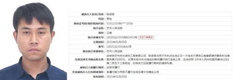【诚信建设】芒市人民法院2021年失信被执行人曝光台（第一期）澎湃号·政务澎湃新闻 The Paper