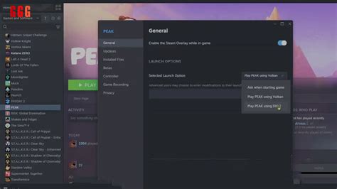 Fix Peak Voice Chat Not Working Quick Solutions