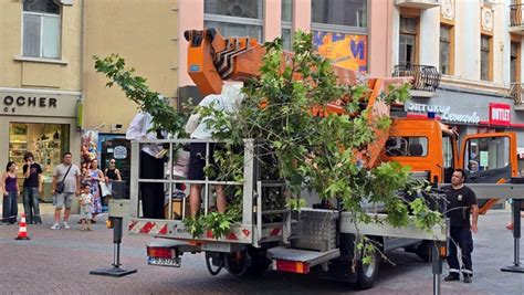 Огнеборец спаси пчелите част от чийто кошер рухна на Главната в Пловдив Снимки видео