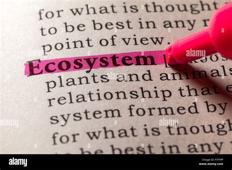 Ecosystem Hi Res Stock Photography And Images Alamy
