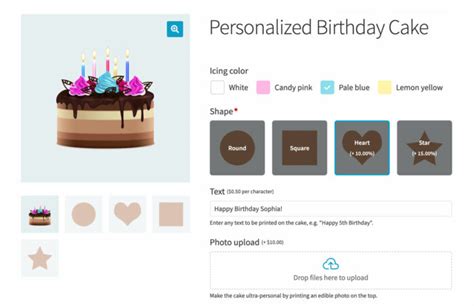 The 9 Best Woocommerce Product Options Plugins In 2024