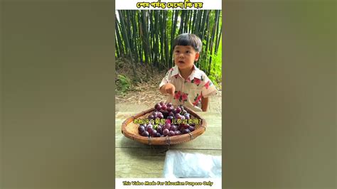 ফুচকু ছেলেটা জাম খেয়ে টাকা না দিয়ে পালালো 😄 Chinese Funny Video