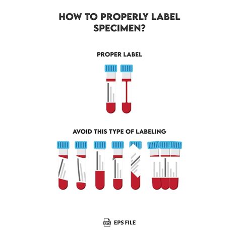 Premium Vector How To Properly Put Label In Specimen In Laboratory