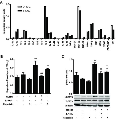 Il 1β Is The Main Cytokine Involved In The Macrophage Mediated